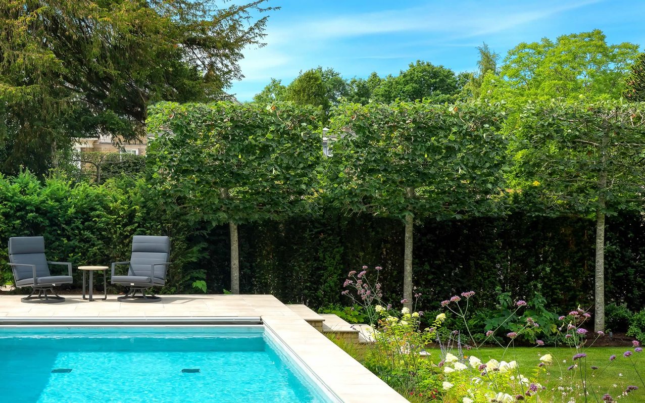 Which trees can you plant near pools & spas in Victoria?